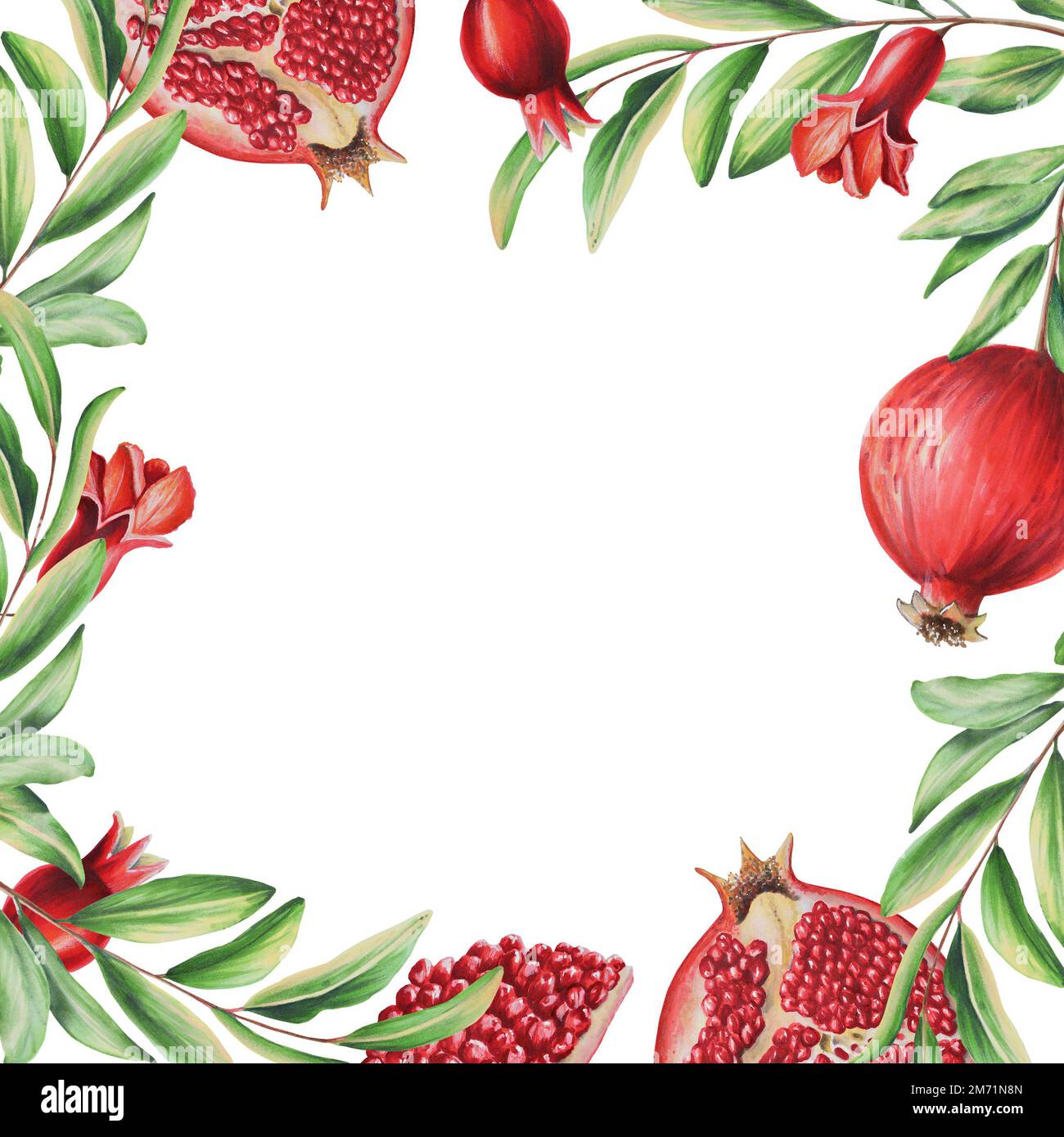 Watercolor pomegranate frame on a branch. Ripe slice, flowers and seeds ...