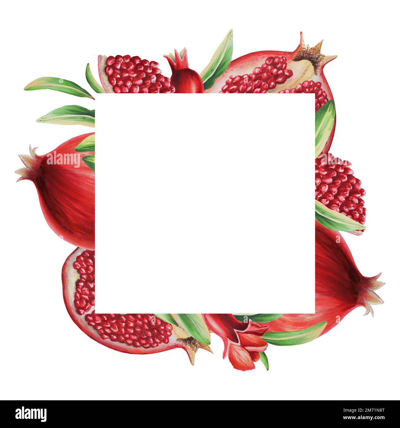 Watercolor pomegranate frame on a branch. Ripe slice, flowers and seeds ...
