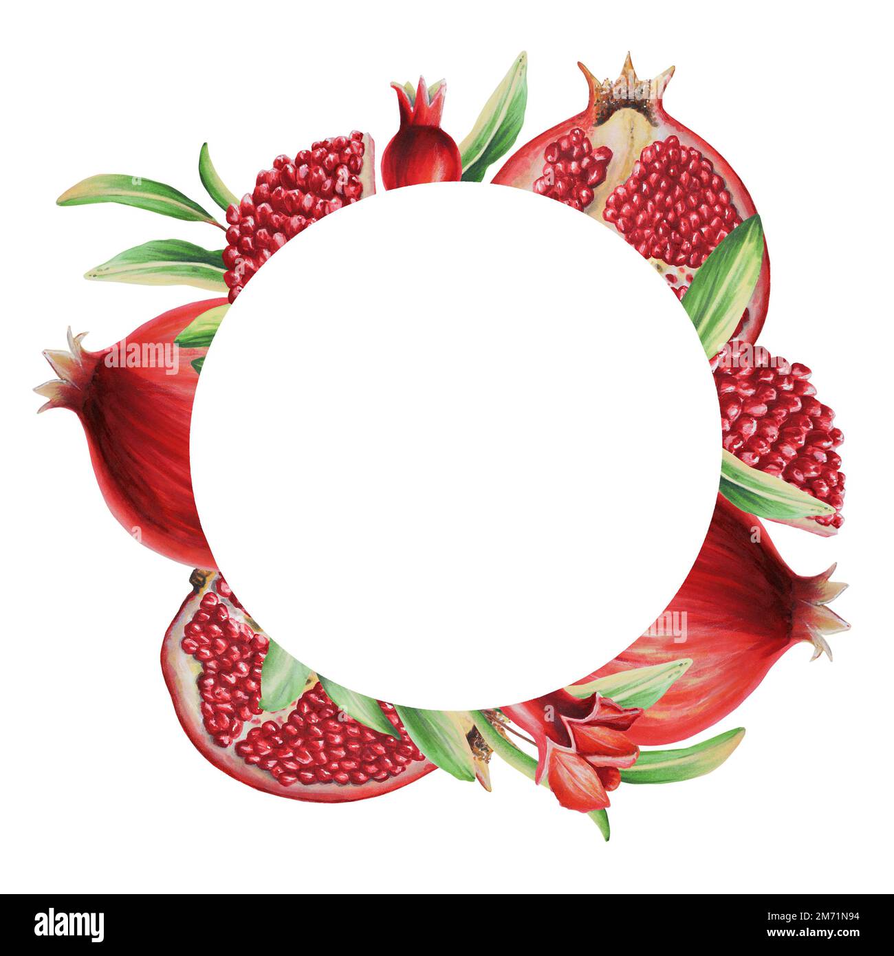 Watercolor pomegranate frame on a branch. Ripe slice, flowers and seeds ...