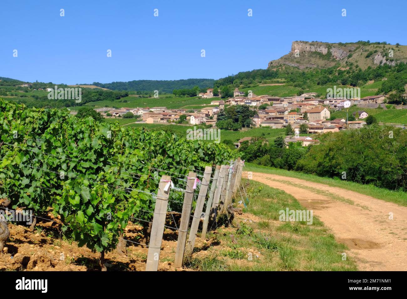 Solutre Pouilly: View to village of Solutre Pouilly and Rock (Roche) of ...
