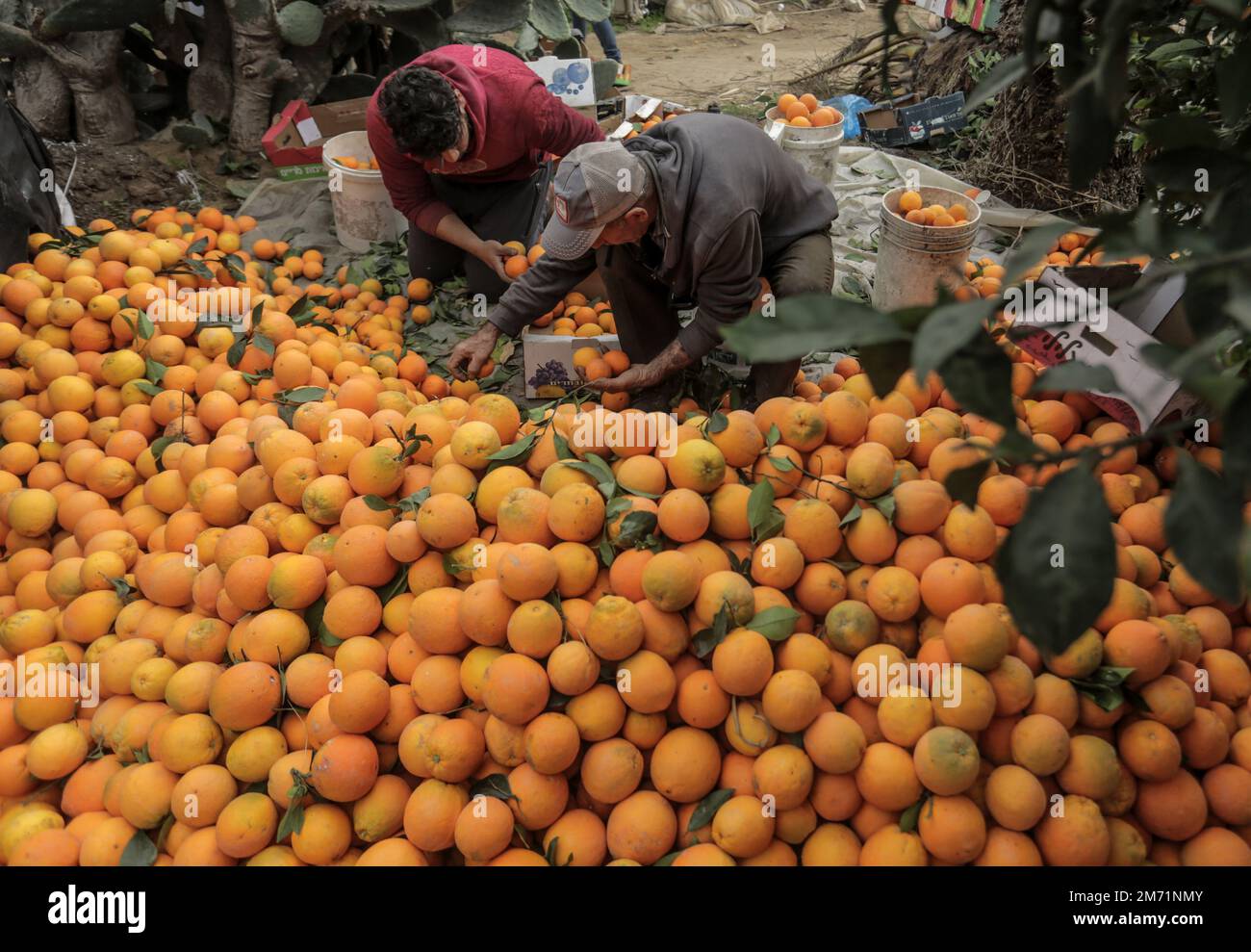 January 6, 2023, Gaza City, The Gaza Strip, Palestine: Palestinian ...