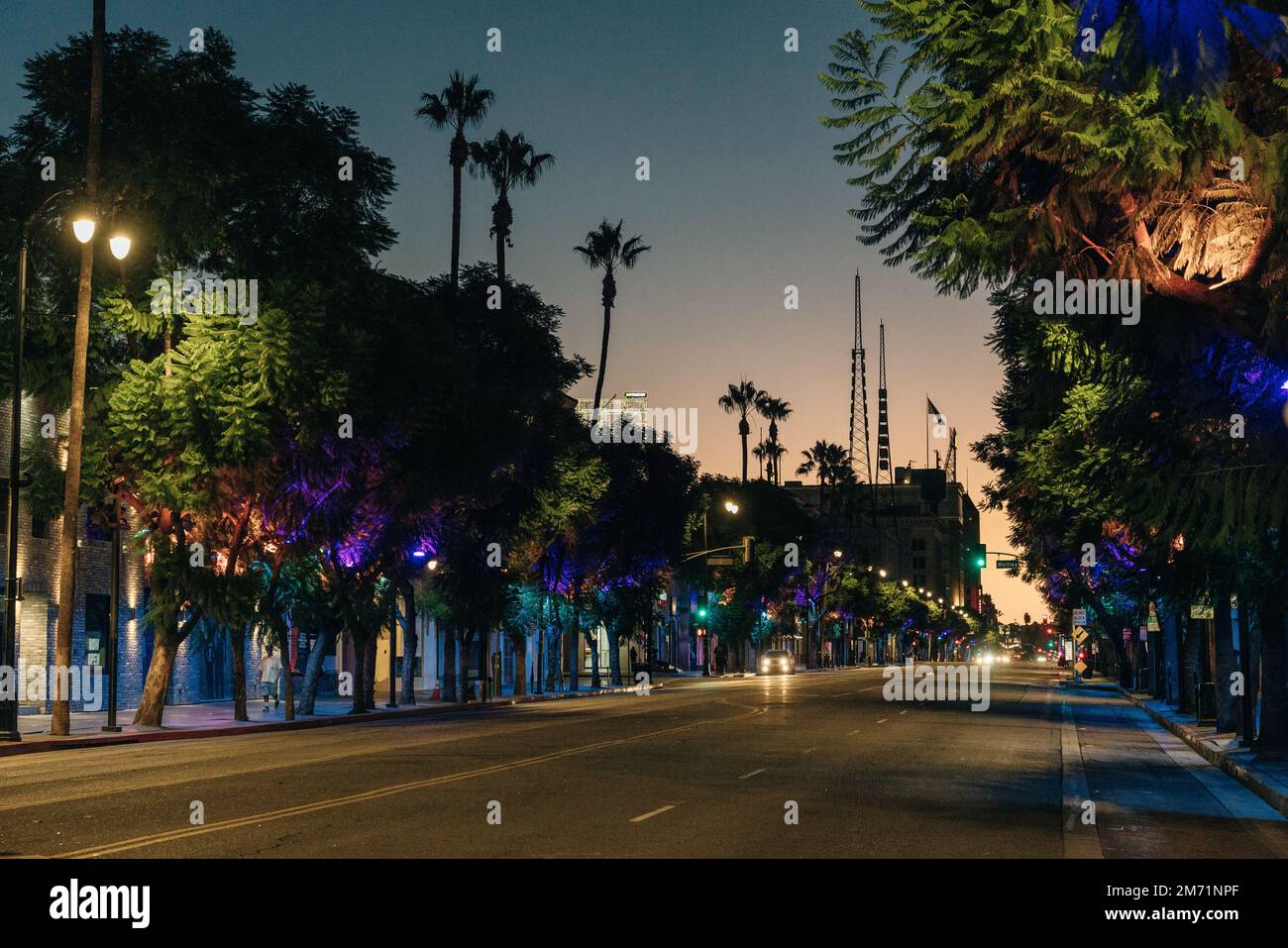 LOS ANGELES - dec 2022 Tourists flock to nightlife businesses on ...