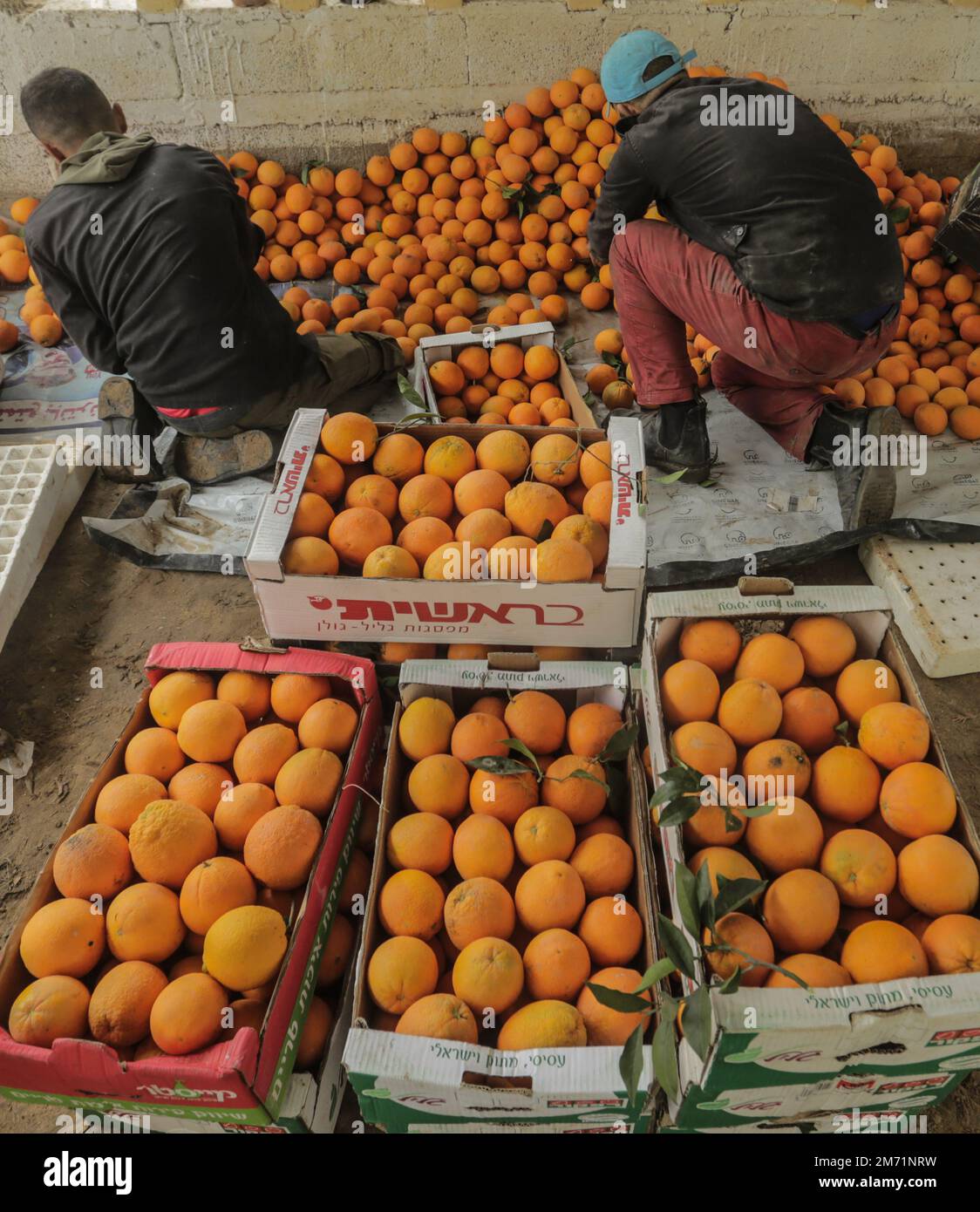 January 6, 2023, Gaza City, The Gaza Strip, Palestine: Palestinian ...