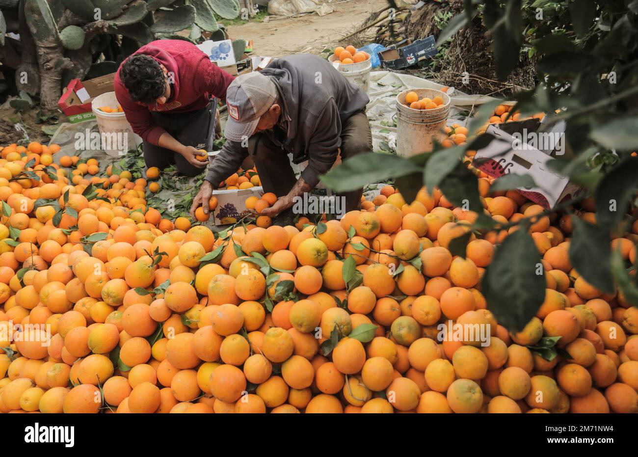 January 6, 2023, Gaza City, The Gaza Strip, Palestine: Palestinian ...