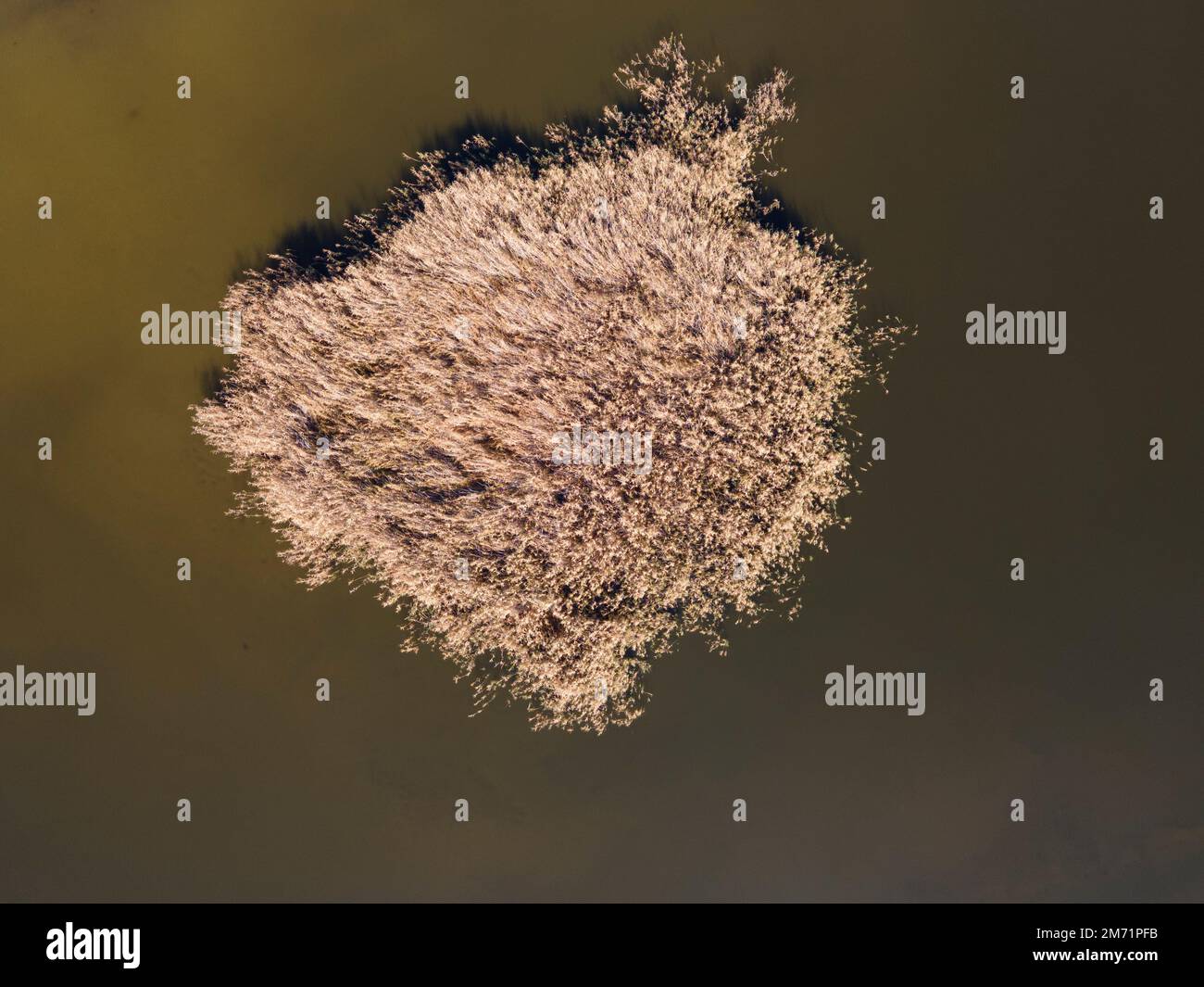 Aerial Autumn view of Choklyovo swamp at Konyavska Mountain, Kyustendil ...
