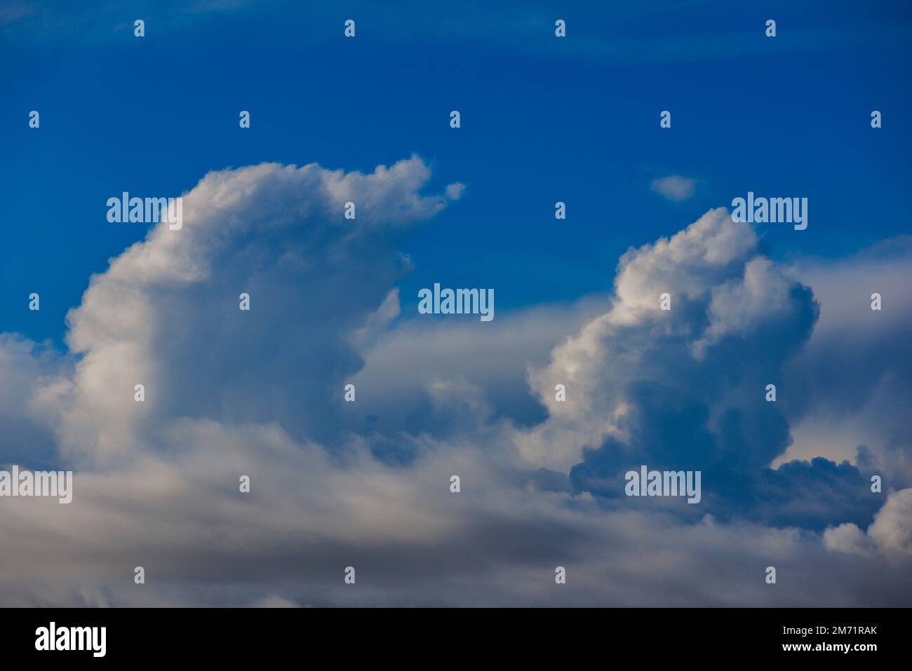 Fluffy puffy cloud cumulus clouds Stock Photo - Alamy