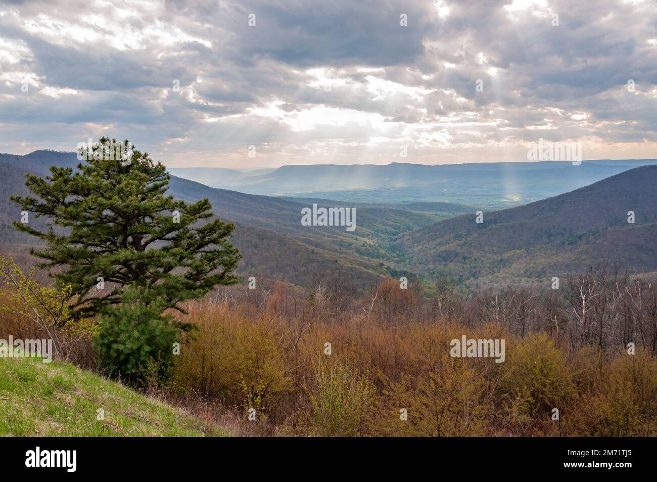 Early Spring in the Appalachian Mountains, Virginia USA, Virginia Stock ...