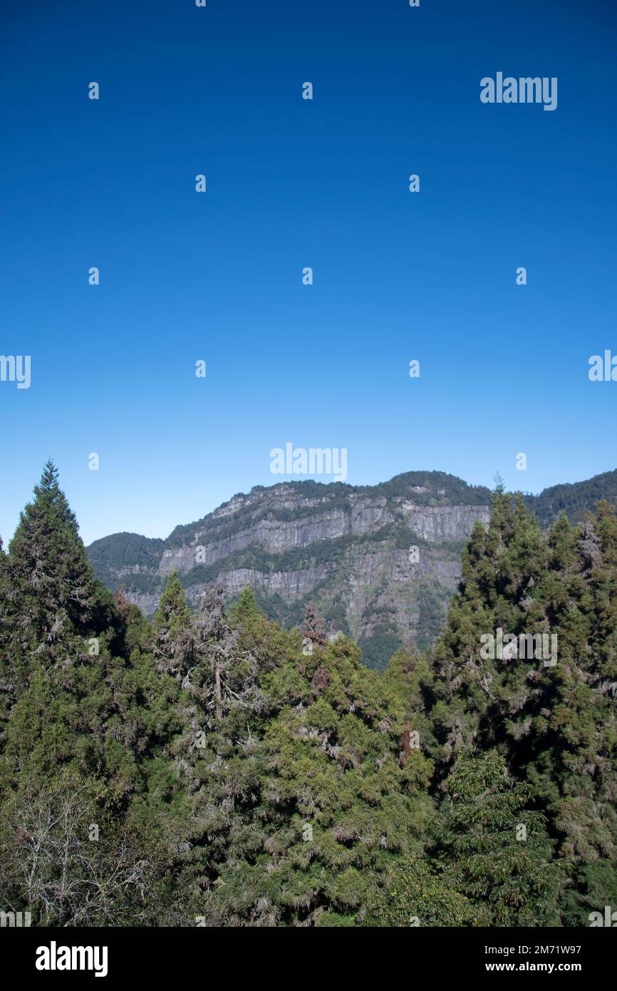 Beautiful morning with blue sky in Alishan National Park, Taiwan Stock ...
