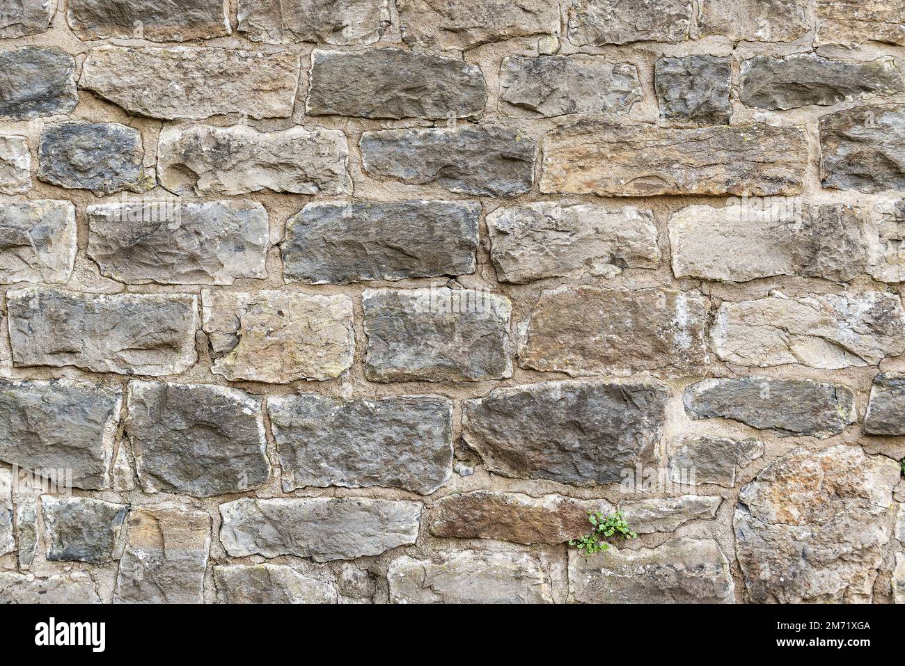 Old Castle Brick Old Brick Castle Village Lyubar Ukraine Stock Photo
