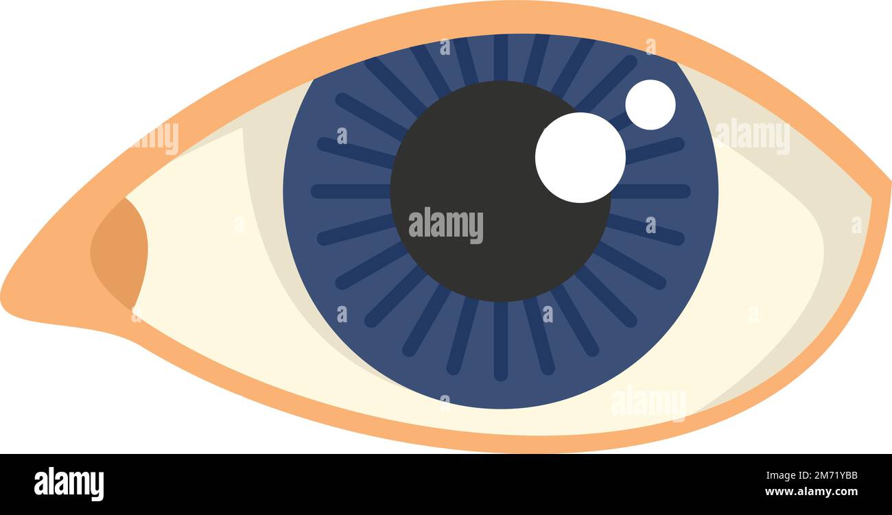 Observe eye icon flat vector. View look. See watch isolated Stock ...