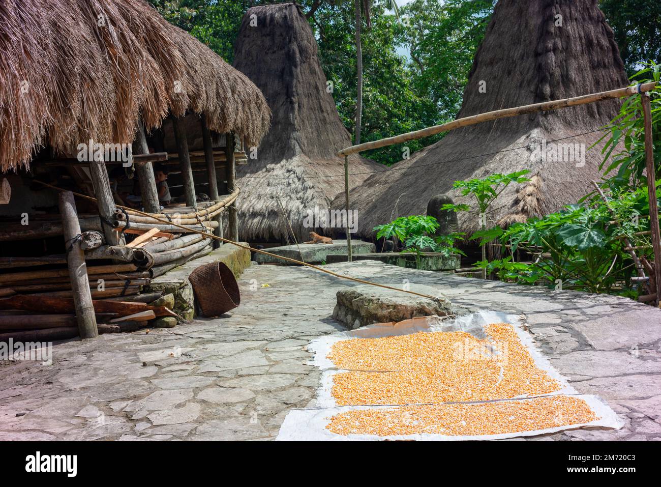 Sumba traditional architecture hi-res stock photography and images - Alamy