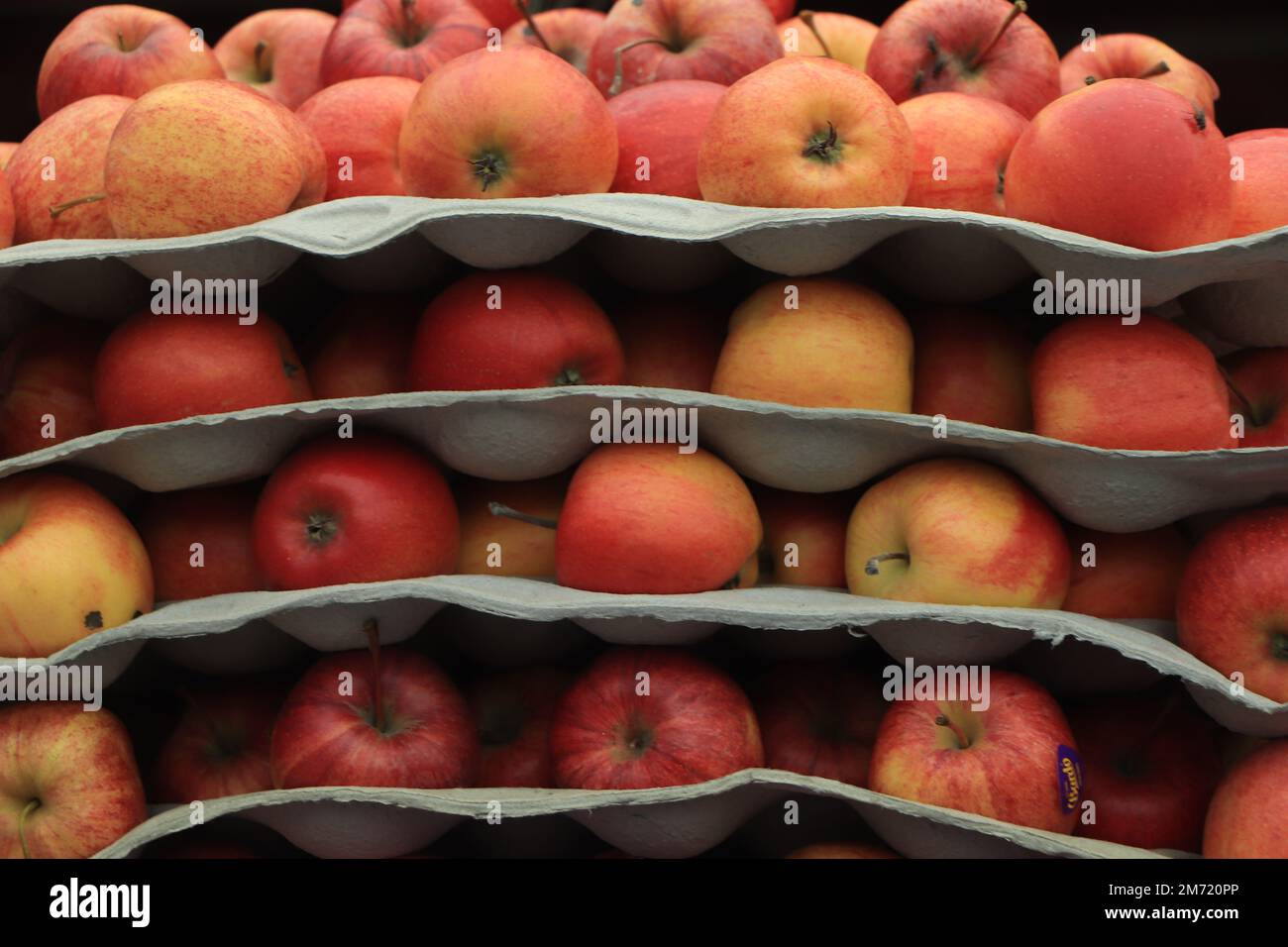 Seeds are crisp and in detail hi-res stock photography and images - Alamy