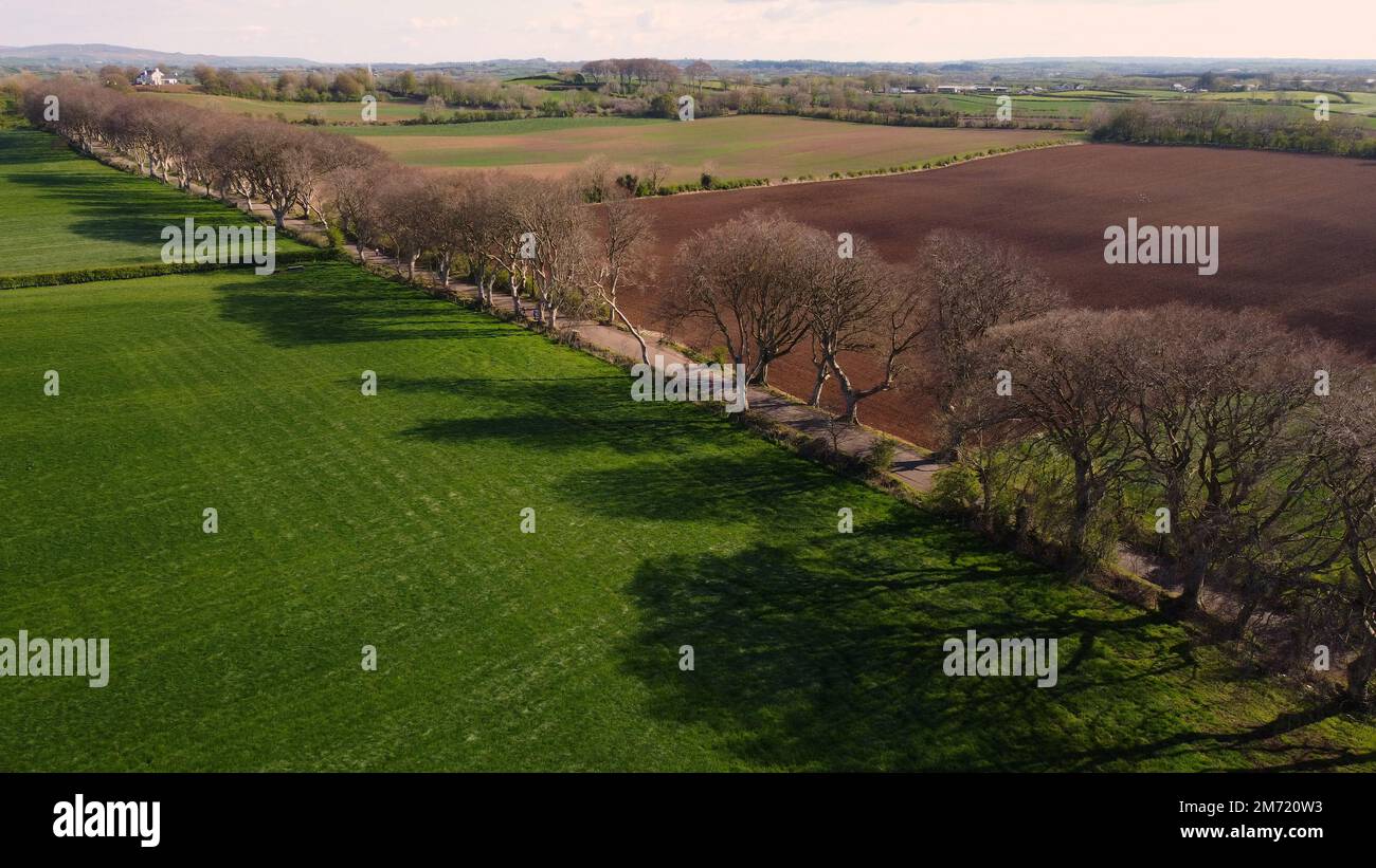Famous Dark Hedges in Northern Ireland - aerial view Stock Photo - Alamy