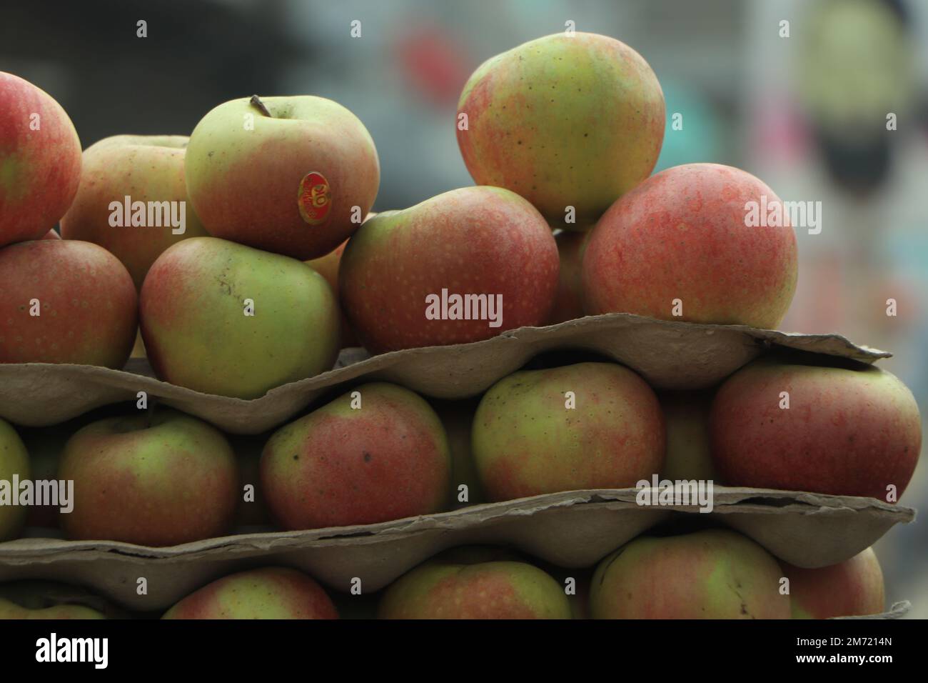 A lot of apples spread all over the screen. Food background. View from ...