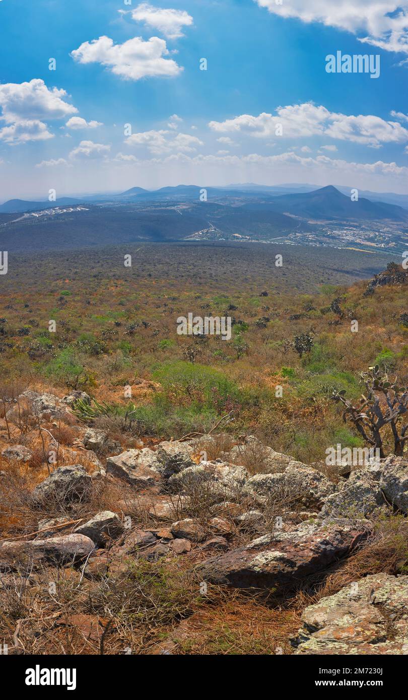 landscape of temperate forest, mexican nature, blue mountain in the ...