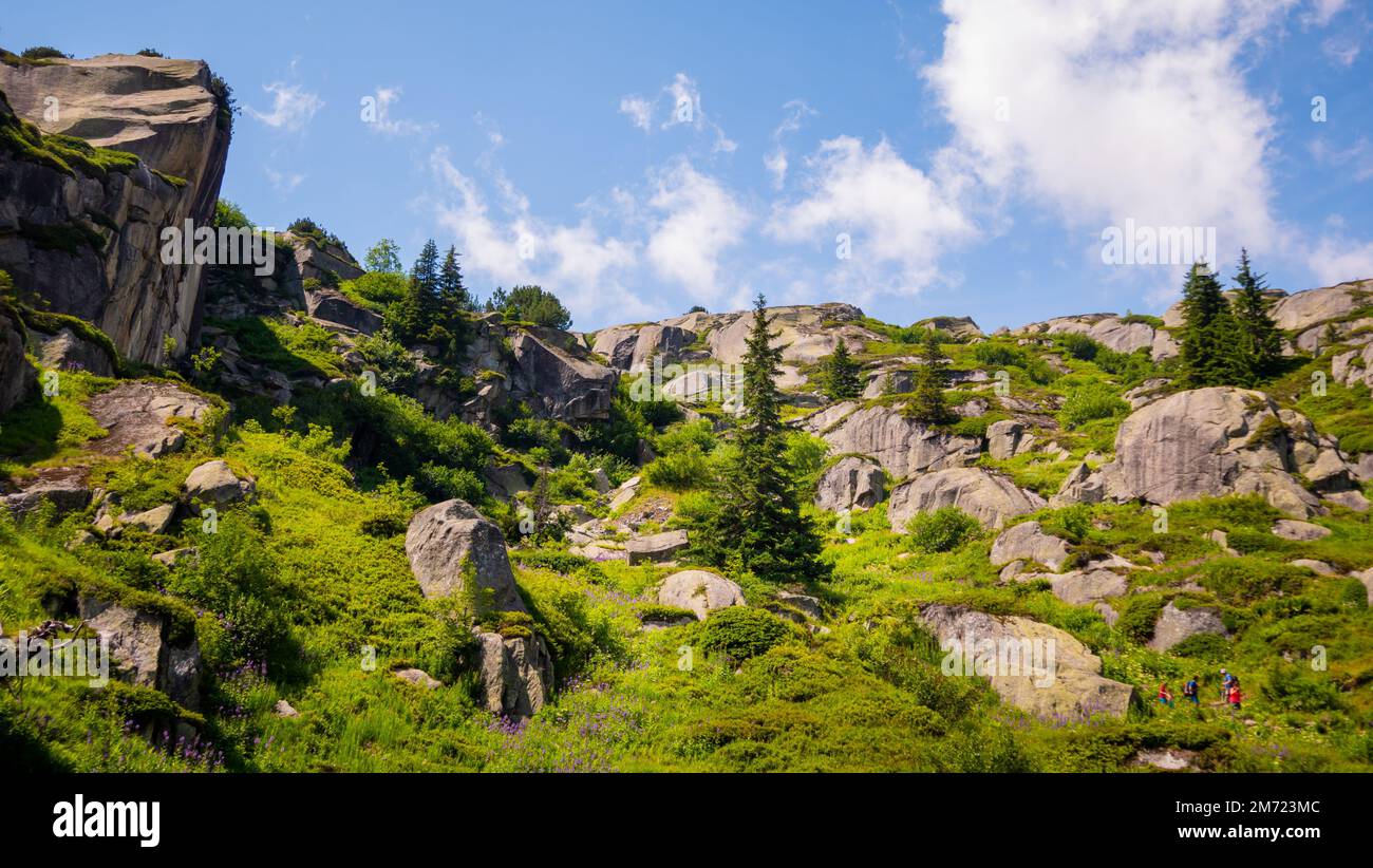 The impressive mountains and glaciers in the Swiss Alps Stock Photo - Alamy