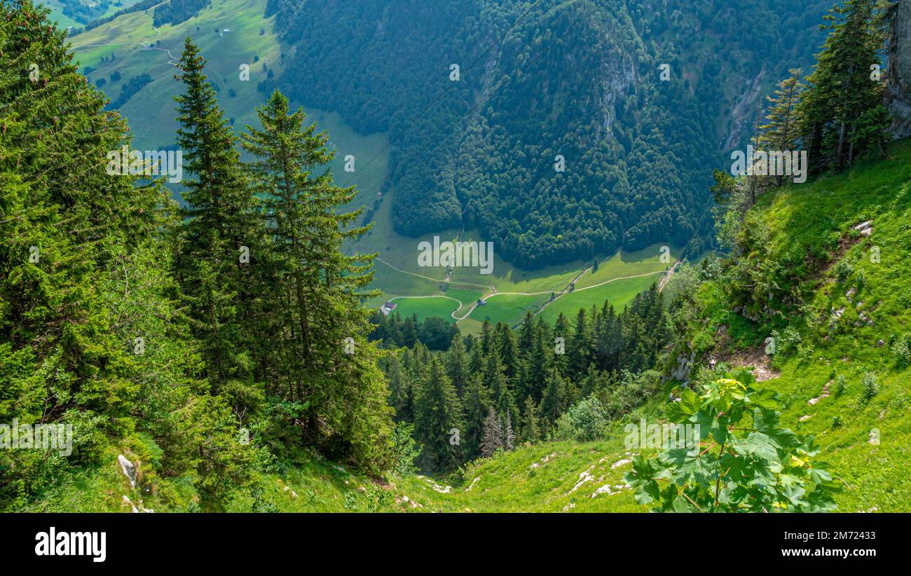 Beautiful green nature in the Swiss Alps - amazing Switzerland Stock ...