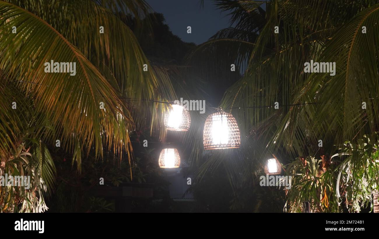 Lampion lamp from woven bamboo cover hanging in the tree Stock Photo ...