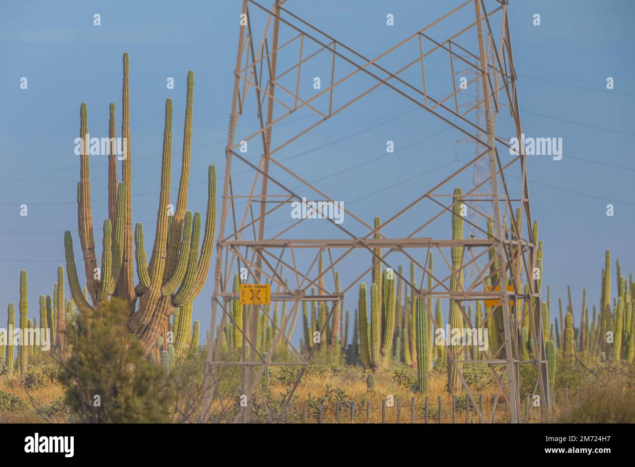 Torre del desierto hi-res stock photography and images - Alamy