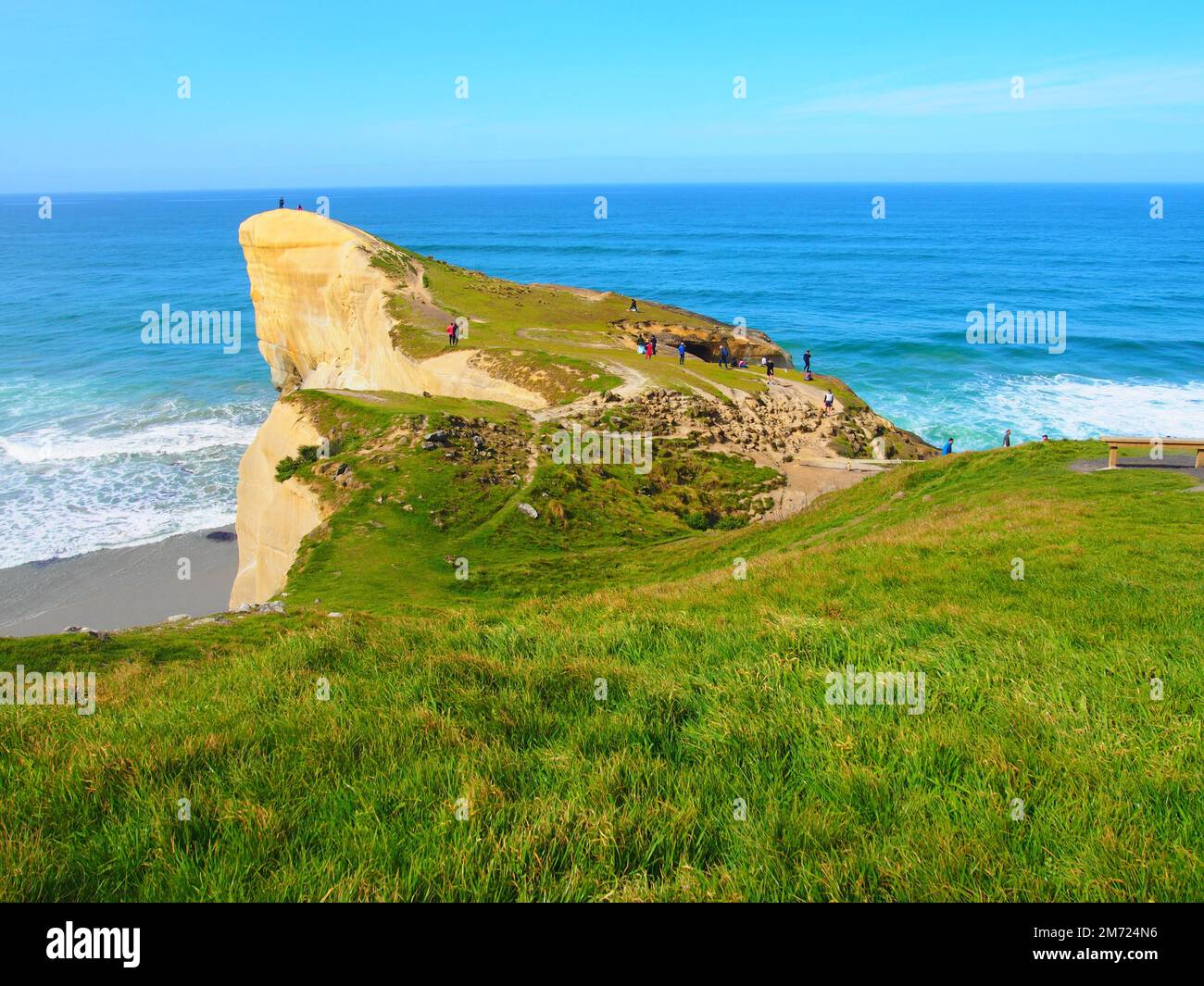 The clifftop viewing area at Taiaroa Head in Dunedin, New Zealand Stock ...