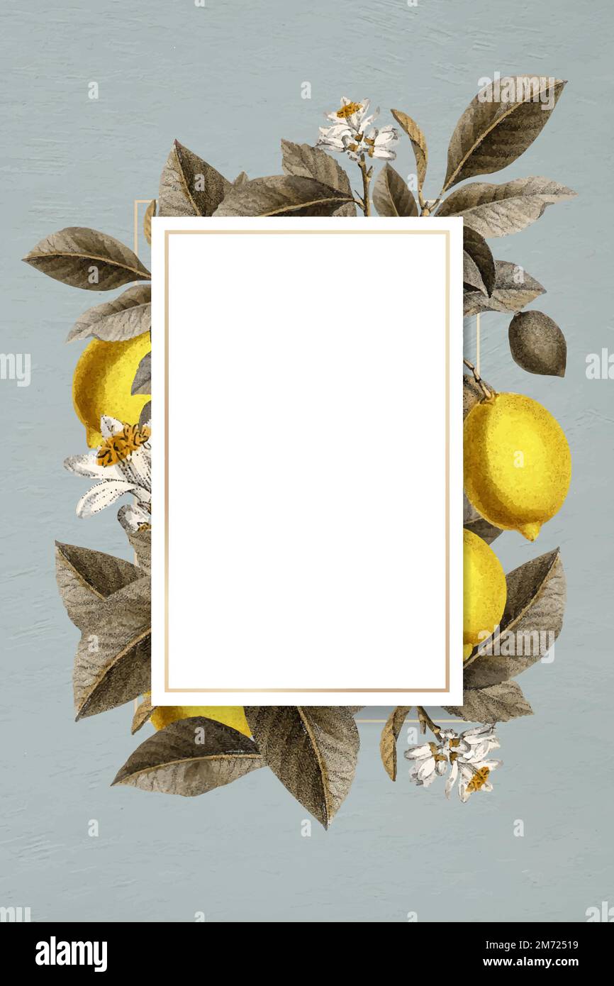 Lemon card hi-res stock photography and images - Alamy