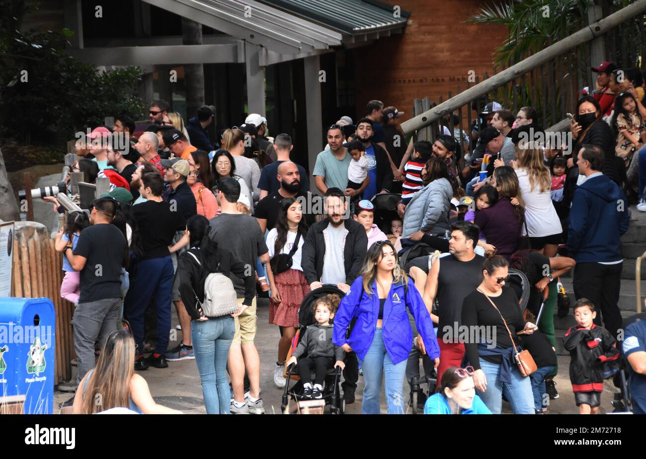 Los Angeles, California, USA 26th December 2022 Crowds at the LA Zoo on ...