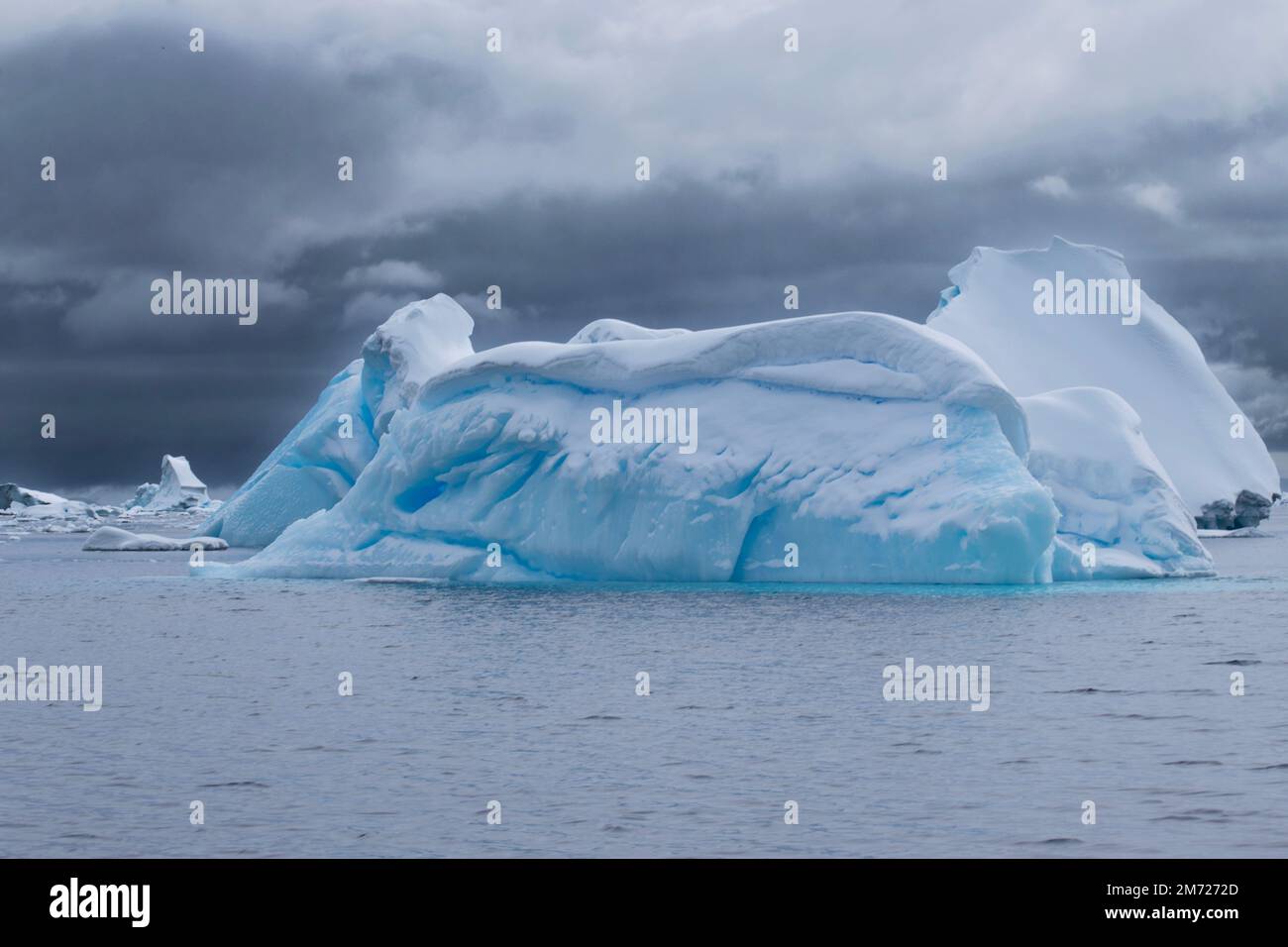 Large Icebergs float in the still water in Antarctica, with blue ...