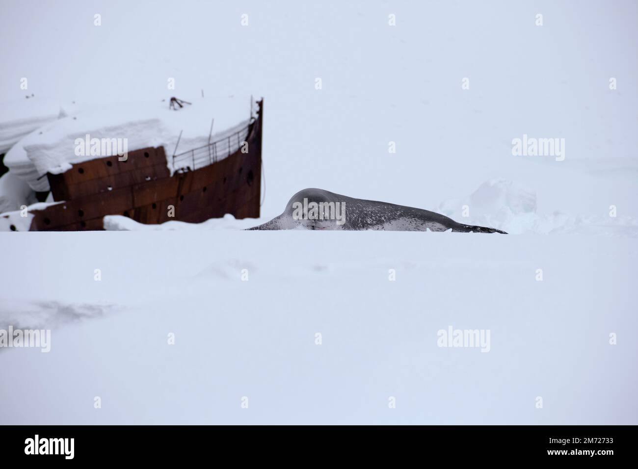 Metal terrain hi-res stock photography and images - Alamy