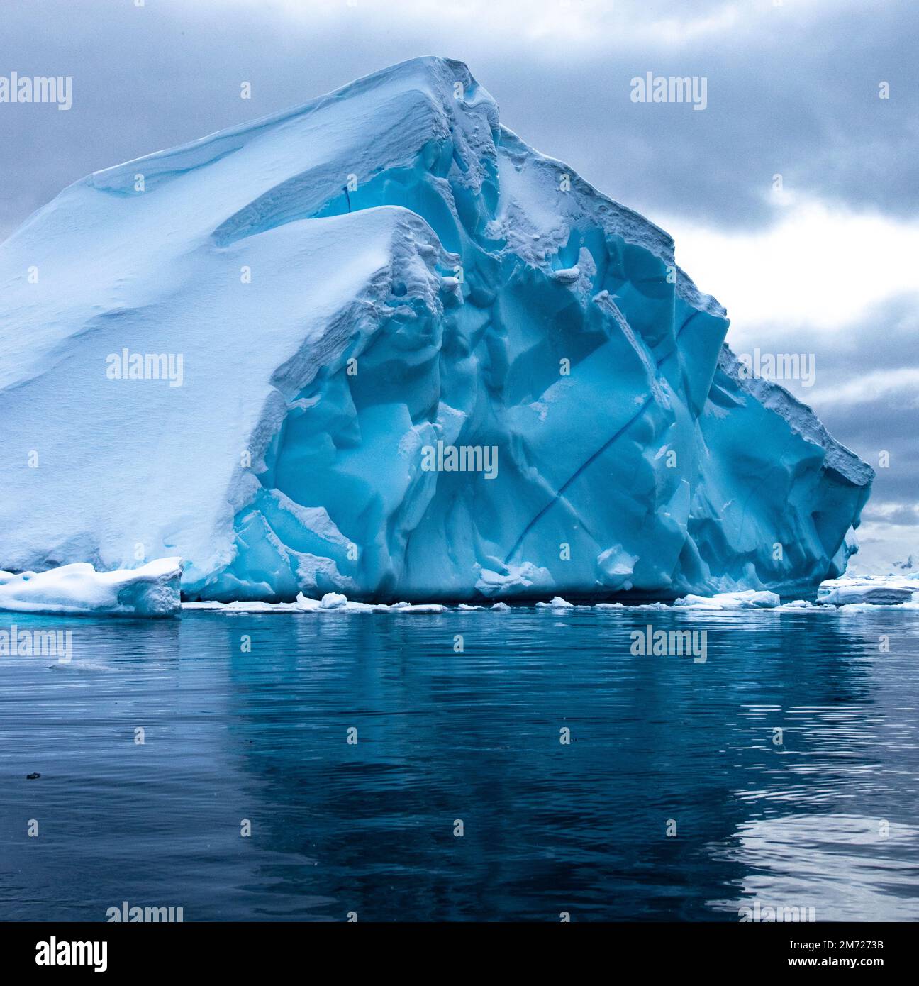 Large Icebergs float in the still water in Antarctica, with blue ...