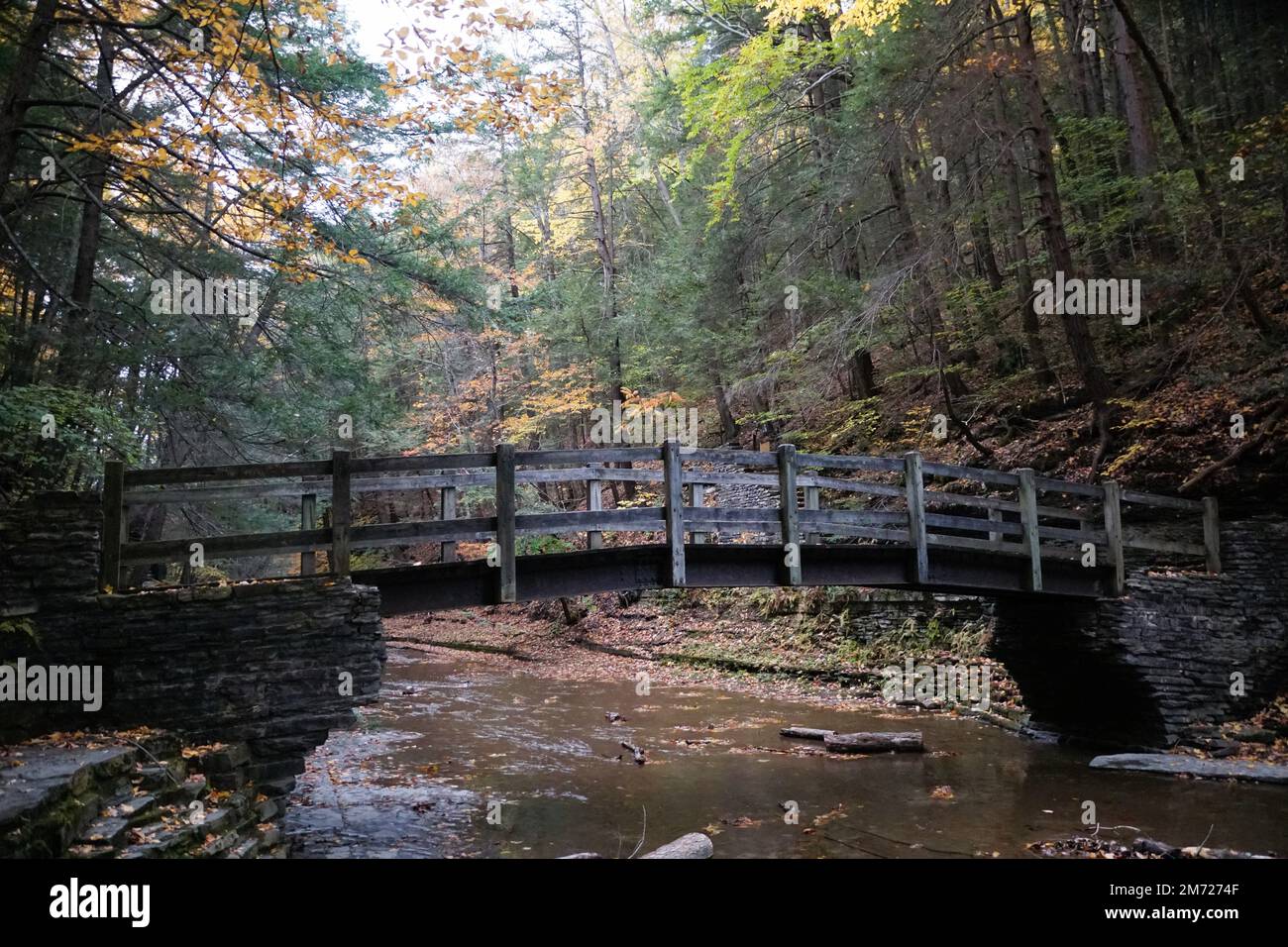 A wooden bridge with the background of fall foliage near Buttermilk ...