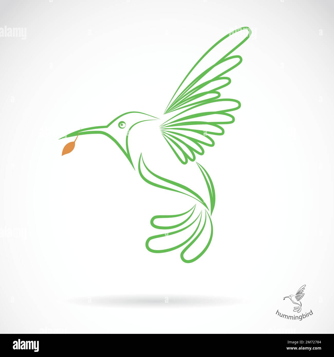 Vector of a hummingbird on white background. Easy editable layered ...