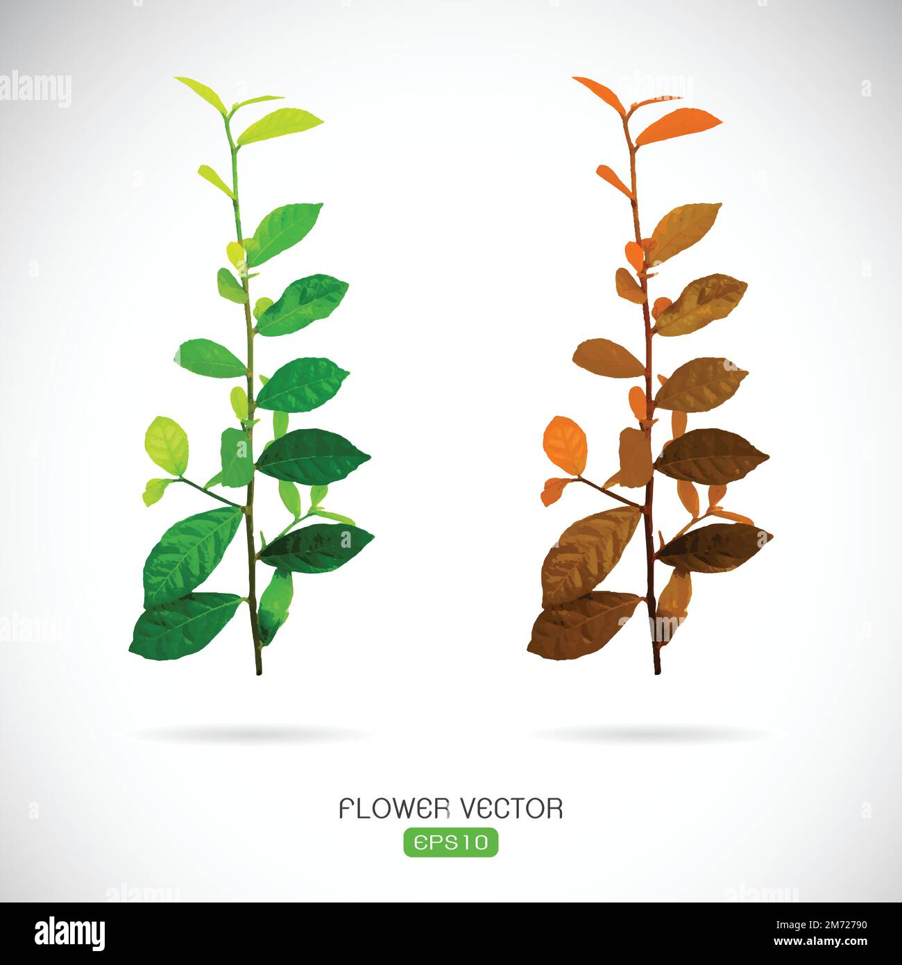 Vector image of leaves on white background. Easy editable layered ...