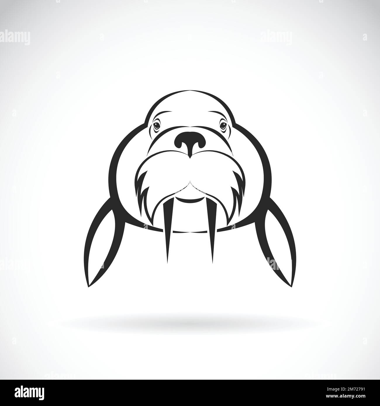 How To Draw A Easy Sea Lion