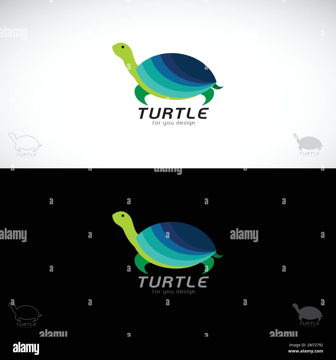 Vector of turtle design on white background and black background ...
