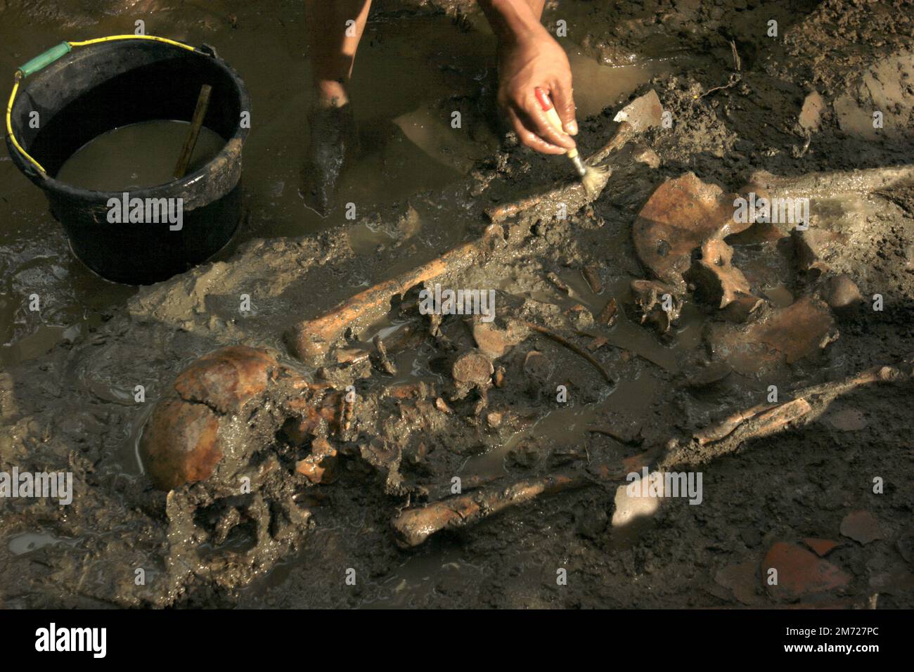 A worker cleans the exposed prehistoric human bones and skulls during the excavation of a ...