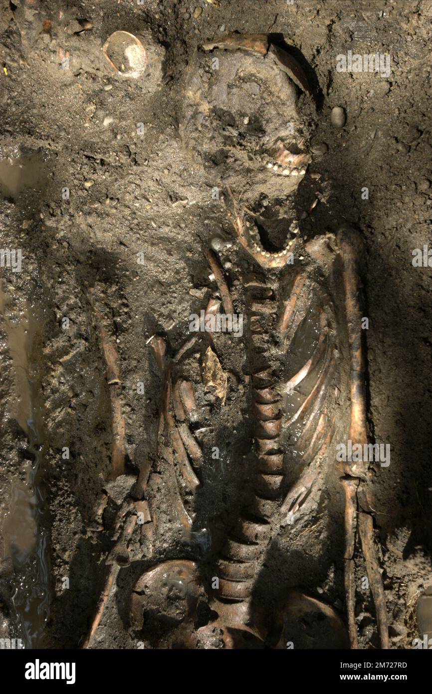 Prehistoric human skeleton that was discovered by the Indonesia's ...