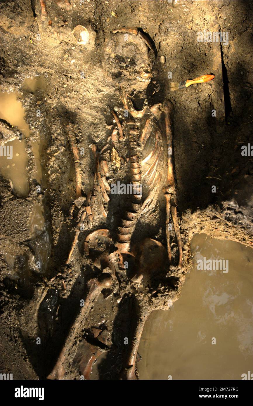 Prehistoric human skeleton that was discovered by the Indonesia's ...
