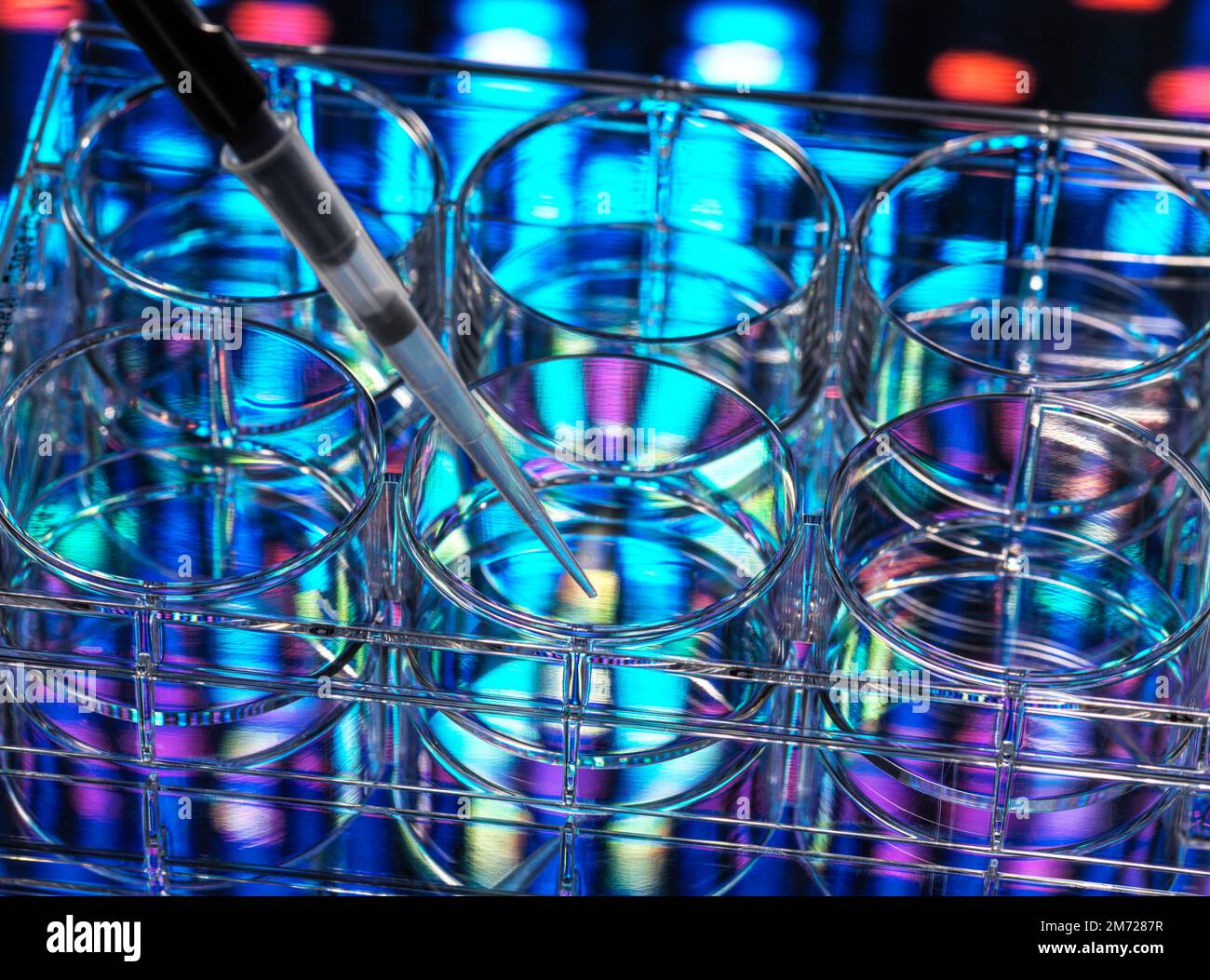 Gene profile hi-res stock photography and images - Alamy