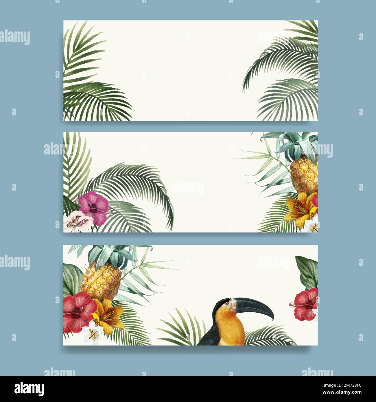 Frame with tropical vintage illustration Stock Vector Image & Art - Alamy