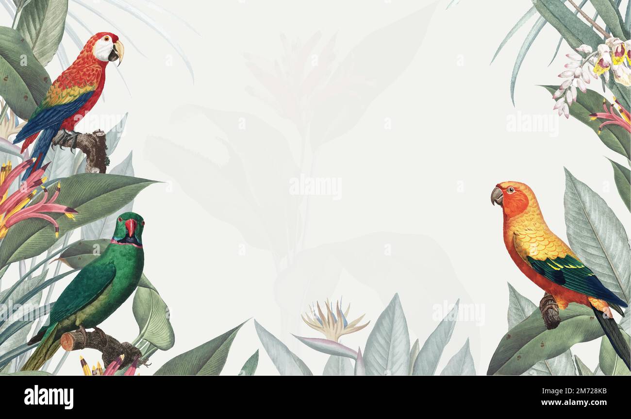 Frame with tropical vintage illustration Stock Vector Image & Art - Alamy