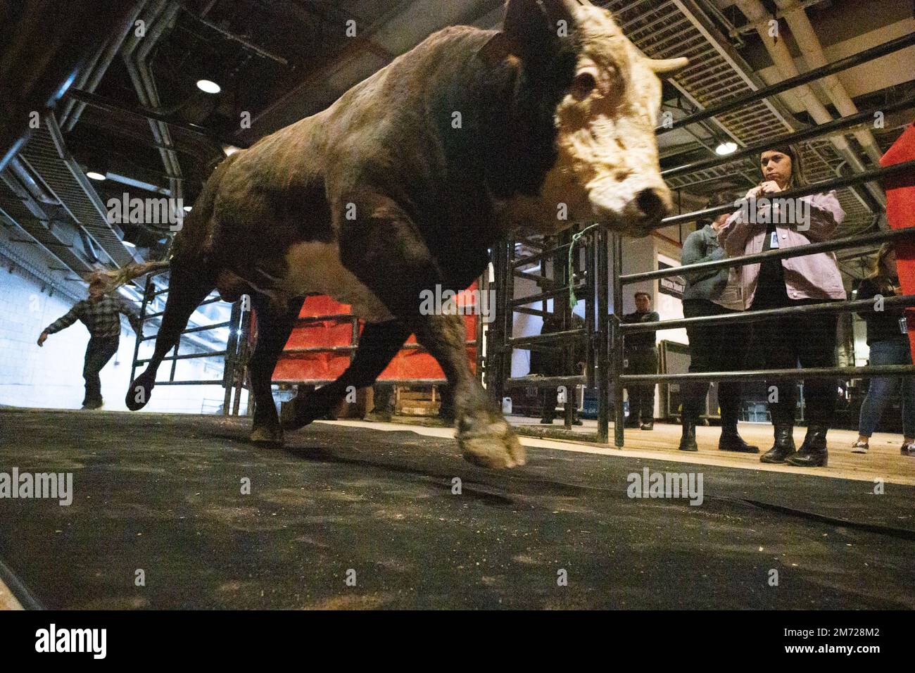 Garden caption competition hi-res stock photography and images - Alamy