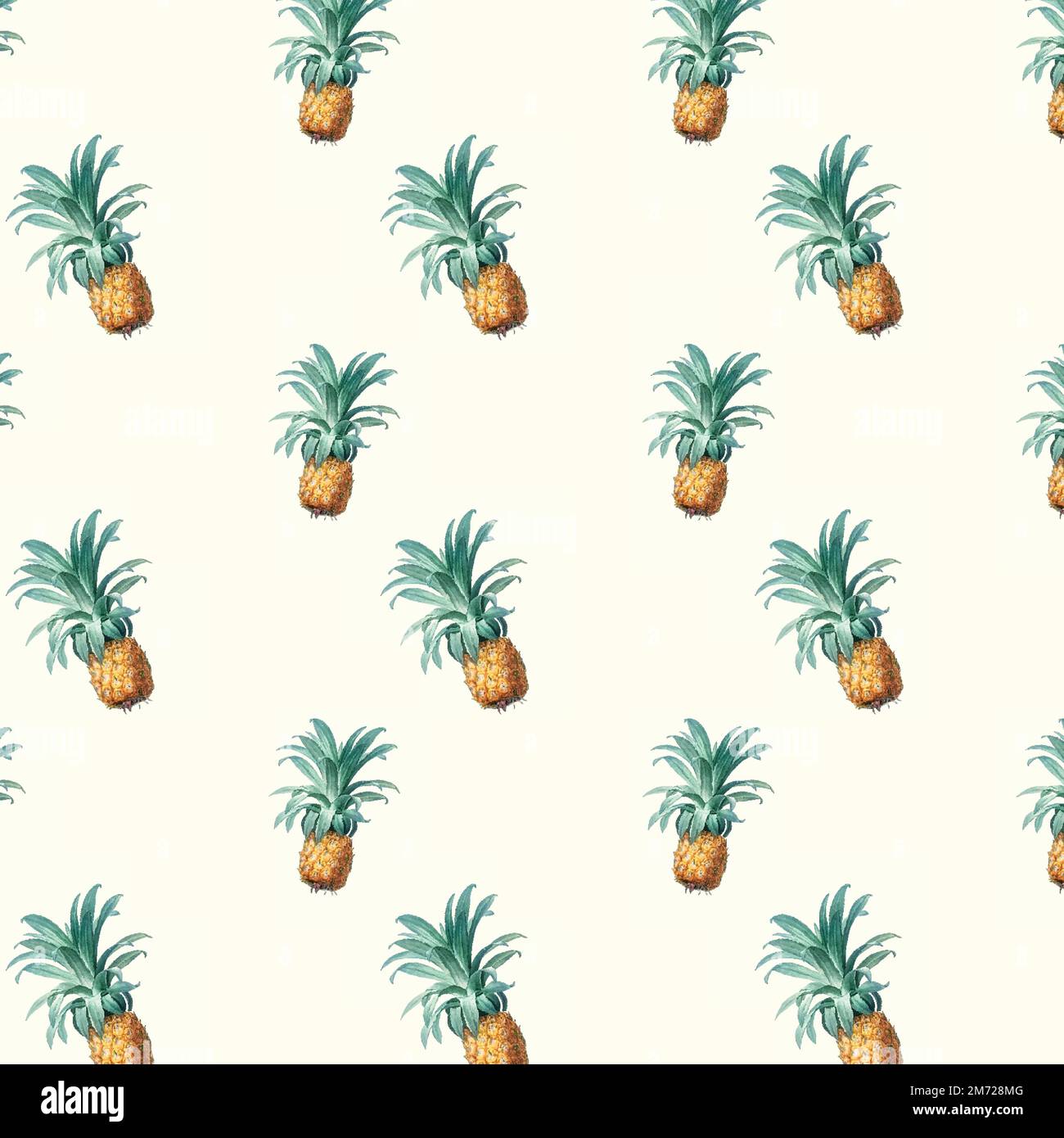 Pineapple botanical Stock Vector Images - Alamy
