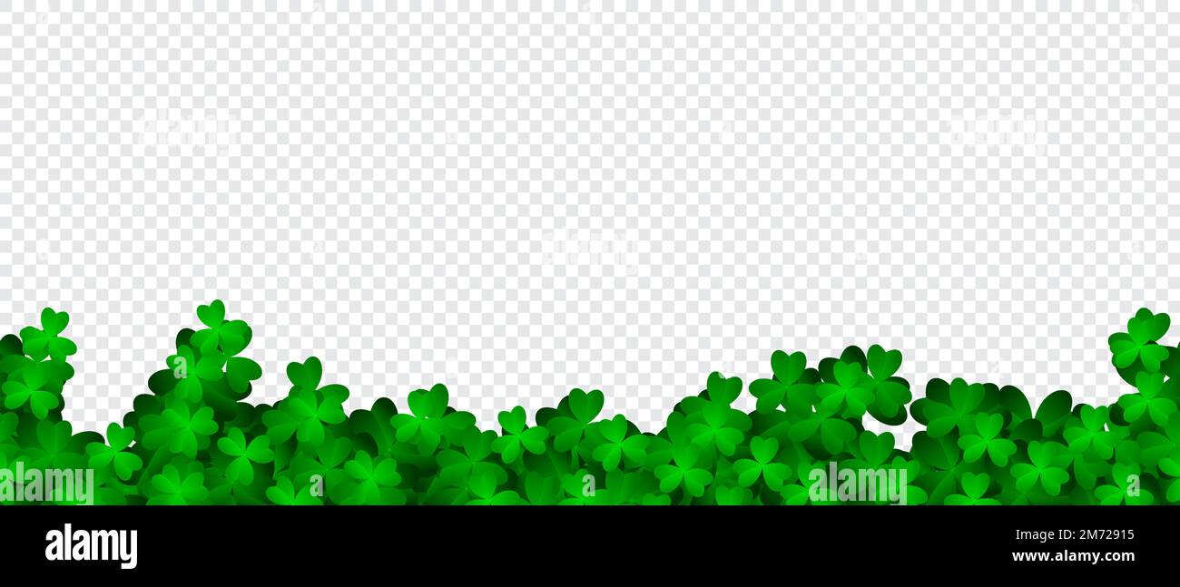 Clover shamrock leaf seamless border. Vector decorative elements template. Patricks Day seamless ...