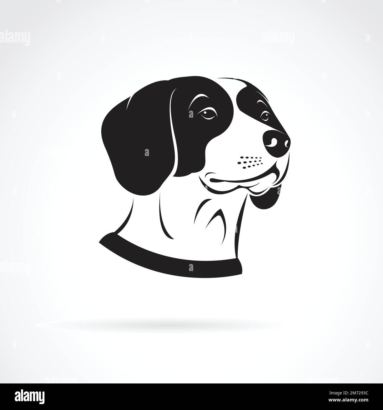 Vector of a beagle dog head on a white background. Pet. Animals. Easy ...