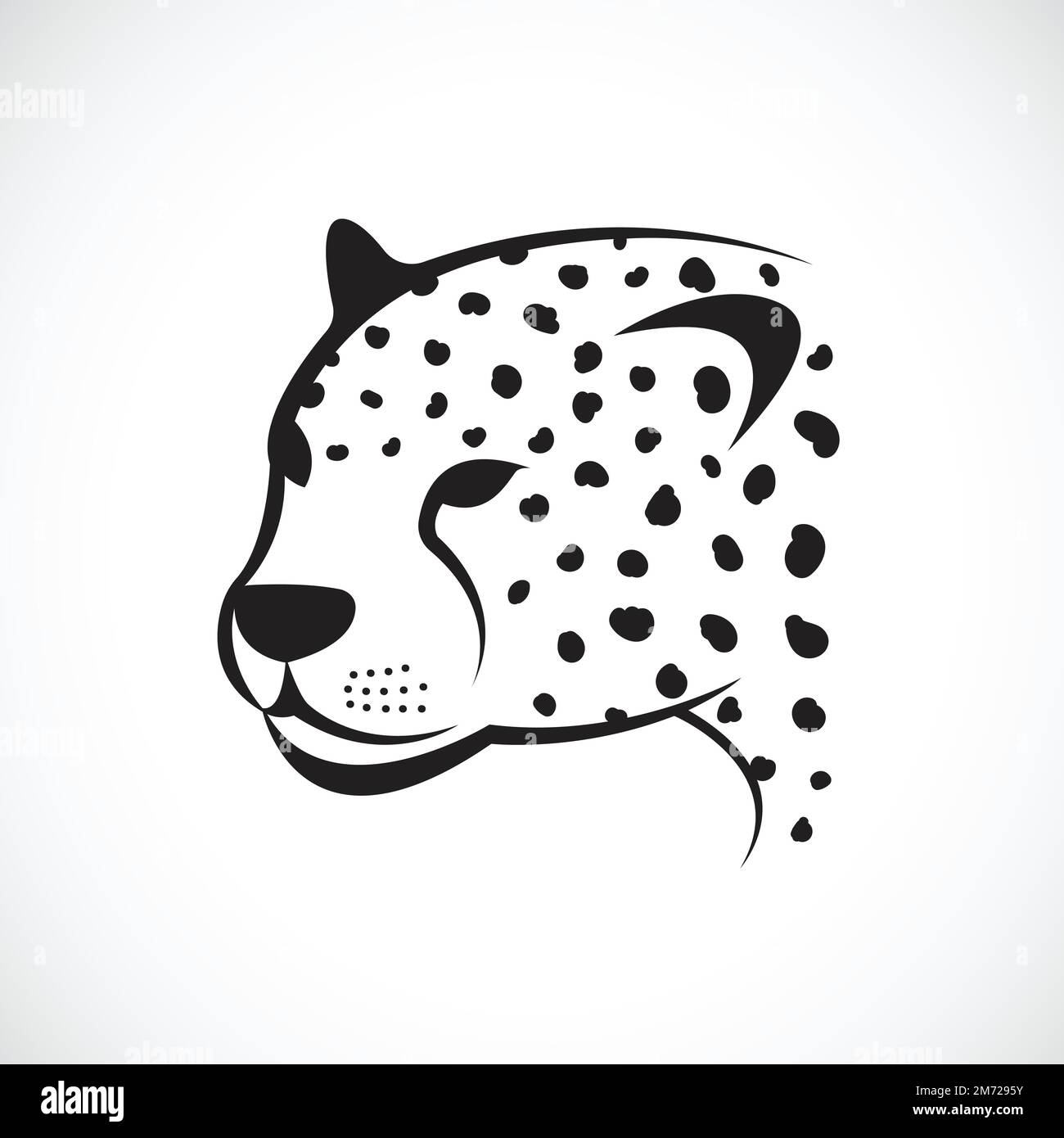 Vector image of a cheetah face on white background. Vector cheetah face ...