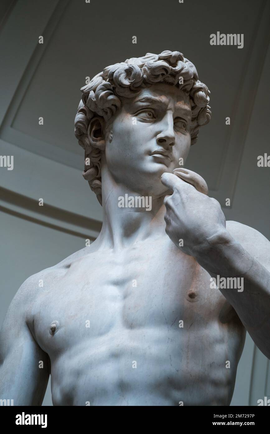 David academy of fine arts florence hi-res stock photography and images ...