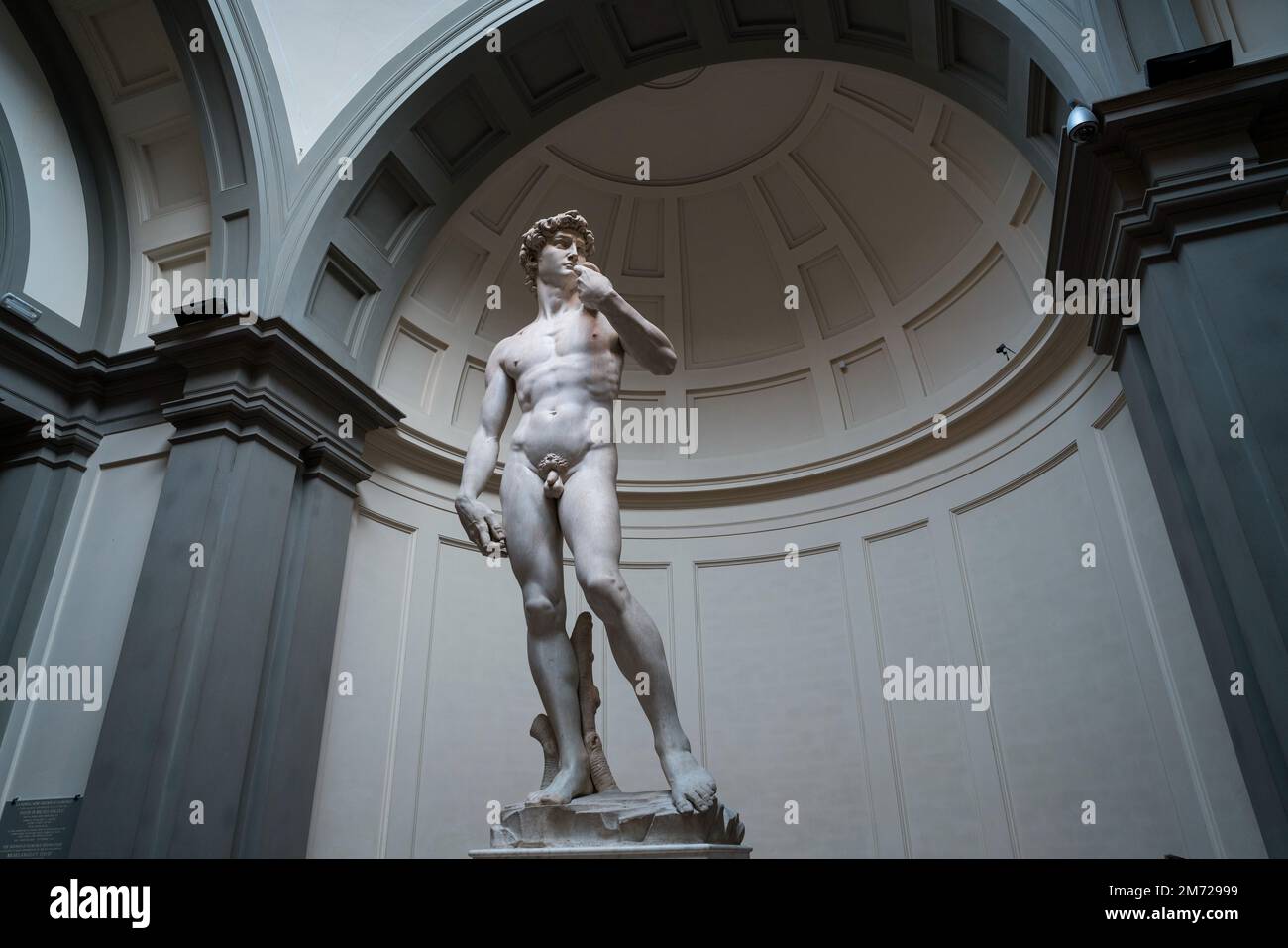 David academy of fine arts florence hi-res stock photography and images ...