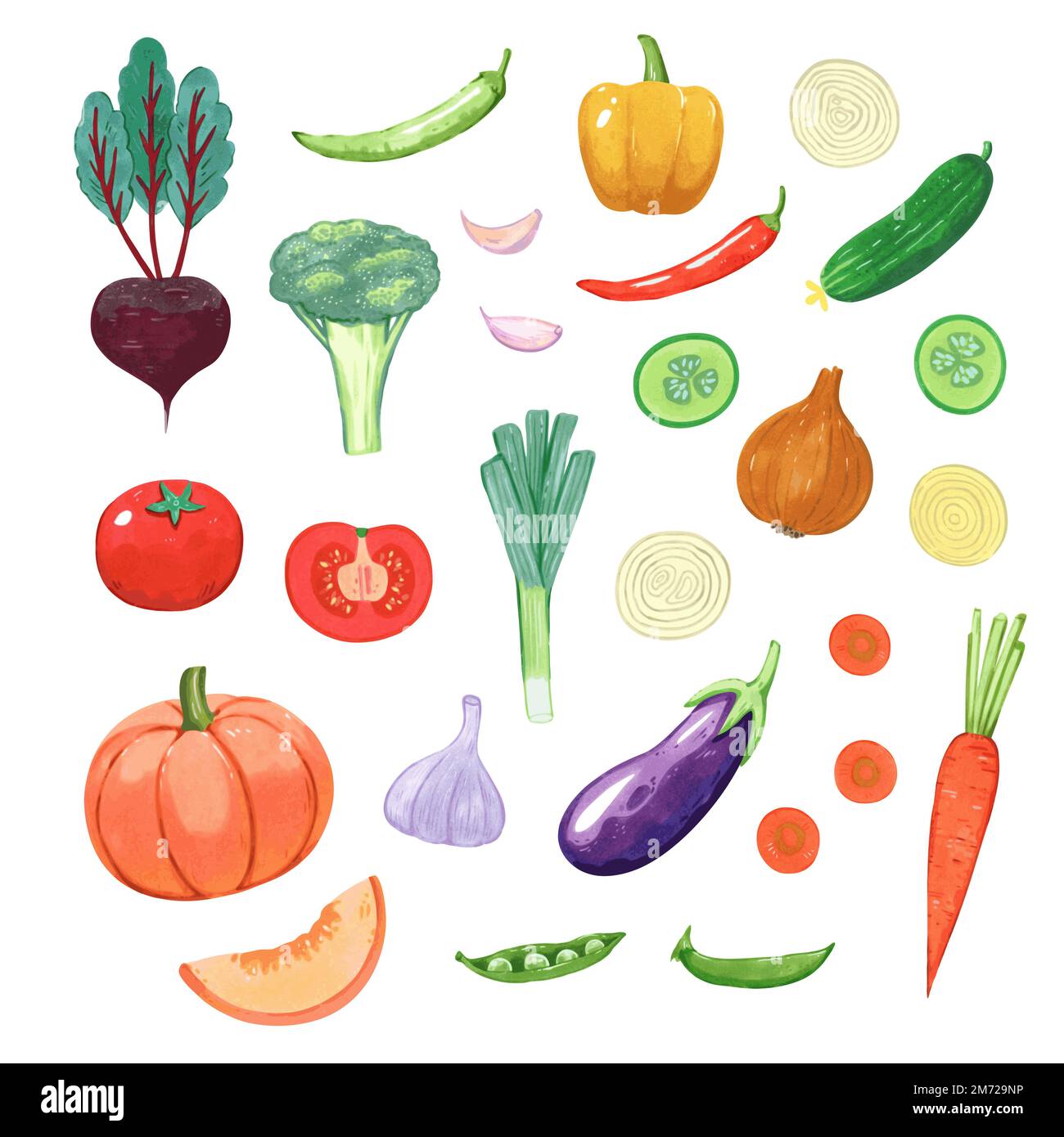 Big set of vegetables. Isolated hand drawn elements in simple cartoon ...