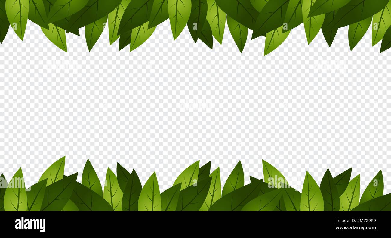 Tropical leaves frame. Corners with green leaves. Frame with green ...