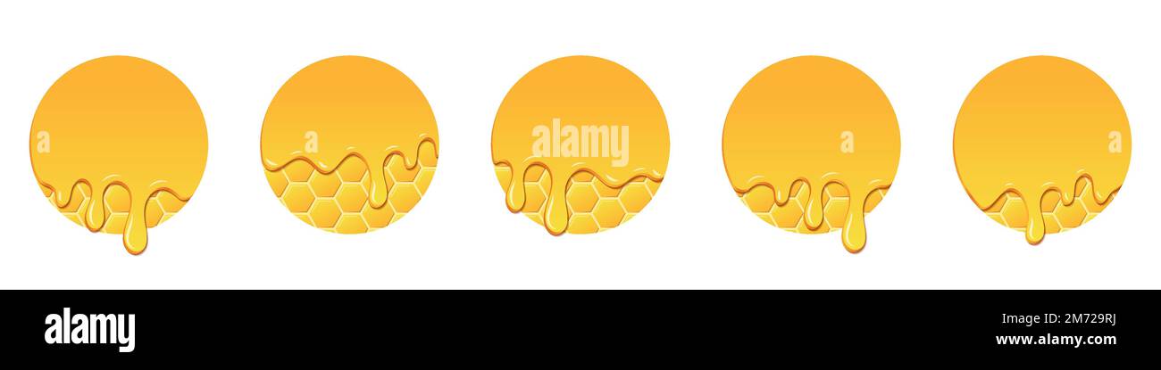 Set Of Honey Drops Dripping Melted Honey Realistic Melted Honey